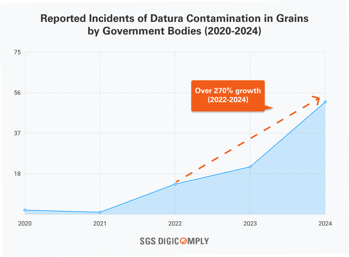 Datura in Grains: A Growing Food Safety Concern